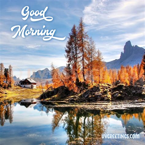 Nature Beautiful Good Morning Wallpaper