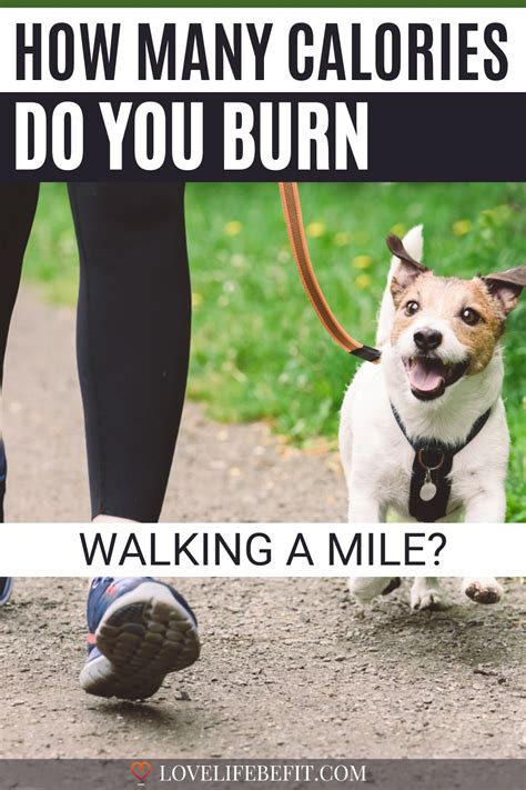 How Many Calories Does A Man Burn Walking At Stacy Dyson Blog