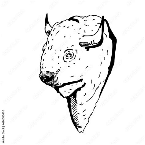 Buffalo Animal Line Art Silhouette Design Element Art Svg Eps Logo Png