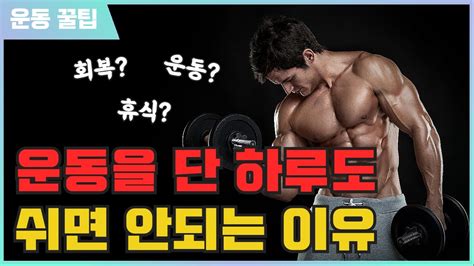 운동 꿀팁 운동을 단 하루도 쉬면 안되는 이유 Youtube