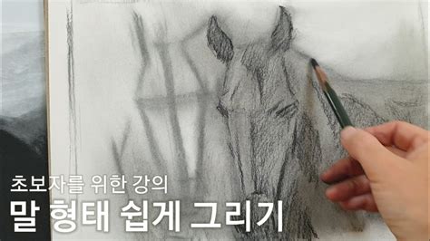 초보자를 위한 기초강의 말 형태그리기 미술수업공개 youtube