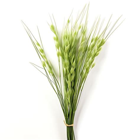 Premium Ai Image Southlow Switchgrass Muted Green Mini Bouquet