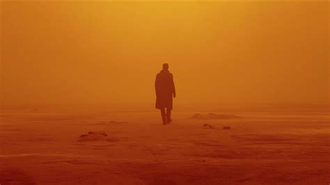 Blade Runner 2049 Real Or Fake 4k