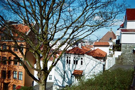 Bergen And Copenhagen May 2017 — Tuesday Chutter