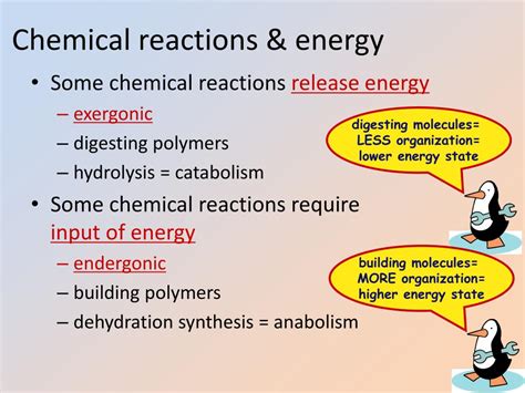 Ppt Enzyme Structure And Function Powerpoint Presentation Free