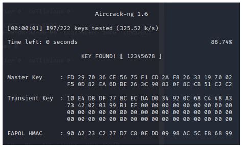 Automatic Verification And Execution Of Cyber Attack On Iot Devices