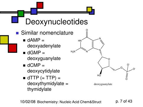 Ppt Nucleic Acid Chemistry And Structure Powerpoint Presentation Id 4502962