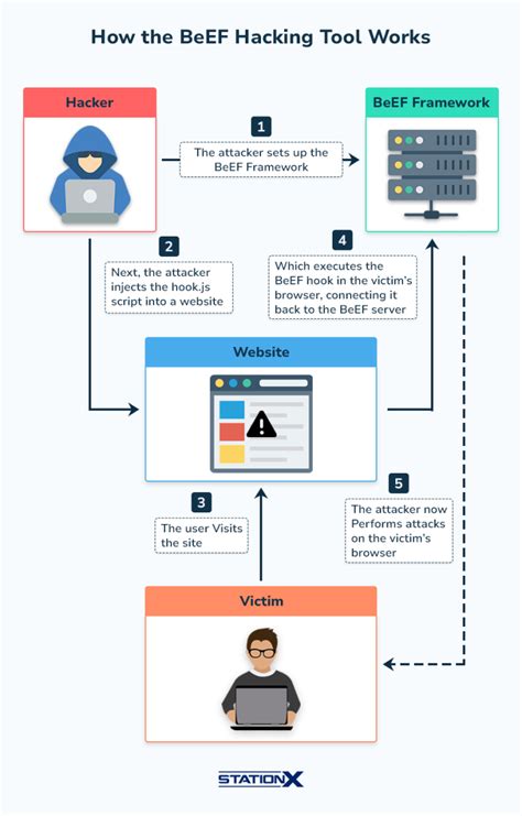 How To Use The Beef Hacking Tool 2025