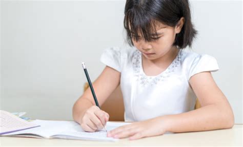 Step By Step Guide How To Write A Good Argumentative Essay WRITERS