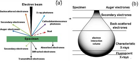 1 Electron Matter Interactions The Different Types Of Signals