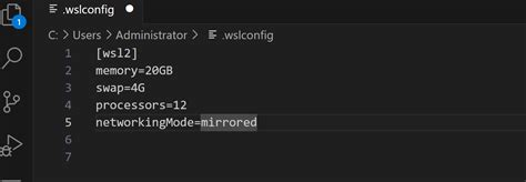 在networkingmodemirrored的wsl2中，listener和talker无法正常通信 鱼香ros