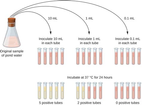 92 How Microbes Grow Microbiology Canadian Edition