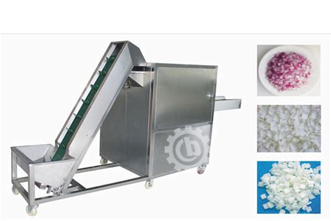 Vegetable Cube Cutting Machine Beijing Double Dragon International Industrialandmining Machinery