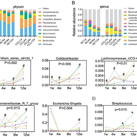 Temporal Development Of The Gut Microbiota In The Normal Control And
