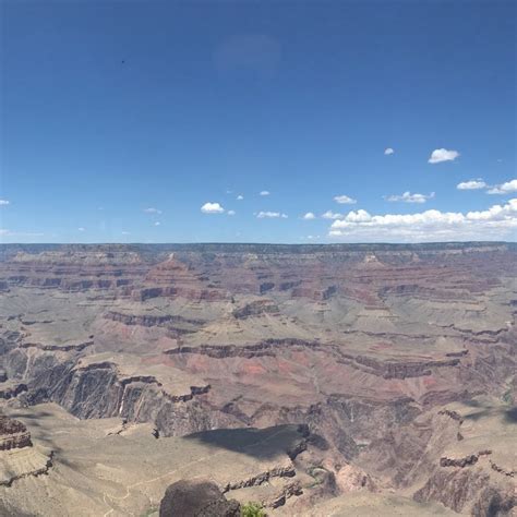 Eli Mitchell Youtube