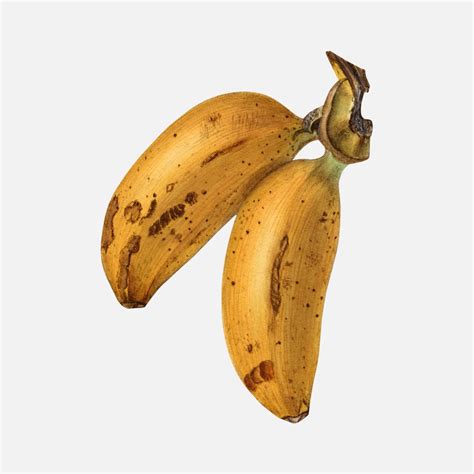 Dacca Banana Tofujoe