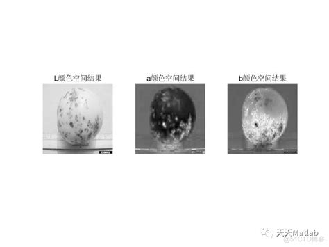 【水果质量检测】基于机器视觉实现苹果疾病识别分类附matlab代码 matlab仿真博客的技术博客 51cto博客