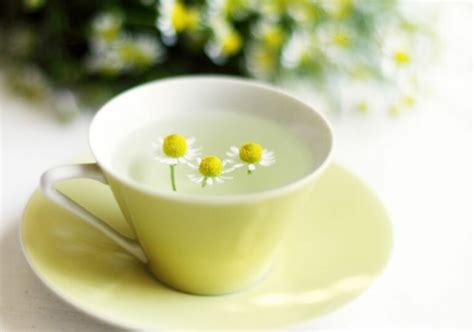 Can Eggshells Be Used For Toothpaste Diy Eggshell Toothpaste