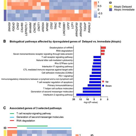 Biological Processes And Pathways Affected By The Differentially