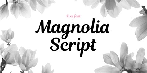 Magnolia Script Font Free Dafont Free