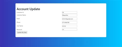 GitHub Sunera OOP Project The Project For The First Semester Of The Second Year Was To