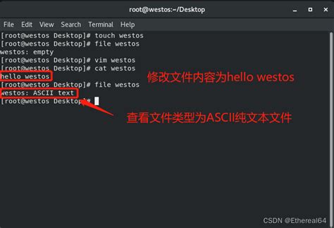 linux系统中的文件管理 linux系统下文件管理 csdn博客