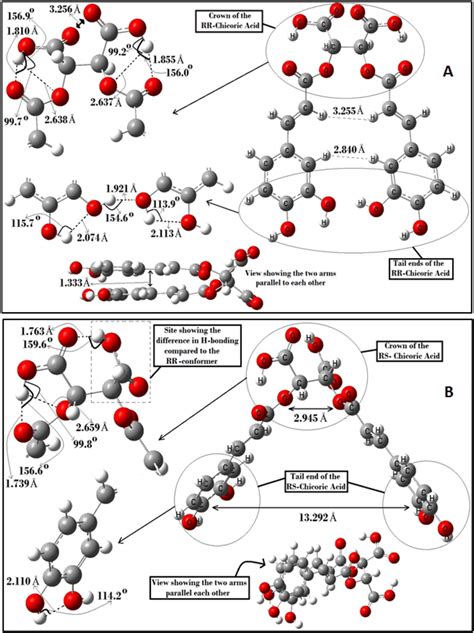 Geometry Optimized Structures Of Intramolecular And Intermolecular Download Scientific Diagram