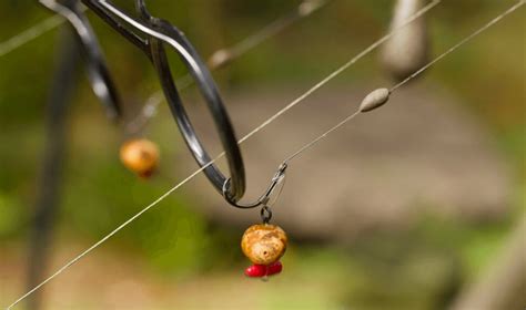 12 Best Carp Rigs How To Tie History And Diagrams Carp Squad
