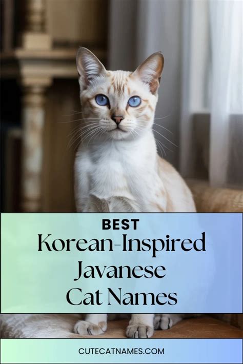 Javanese Cat Names Inspired By Their Silky Coats And Vocal Charm