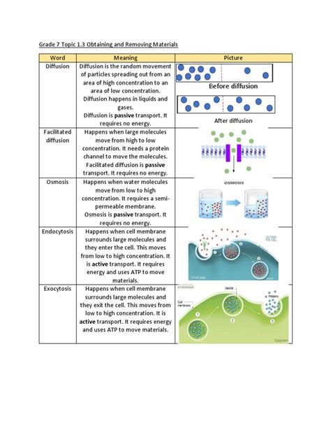 Grade 7 Topics 1 3 Obtaining And Removing Materials And 1 4 Cell