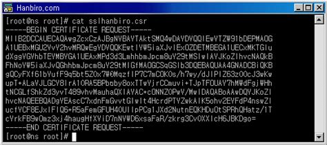 Apache Csr 생성 및 Ssl 인증서 적용 Hanbirossl