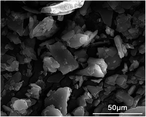 Sem Micrograph Of Synthesized Powder Download Scientific Diagram