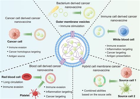 Unlocking The Power Of Nanomedicine Cell Membrane Derived Biomimetic