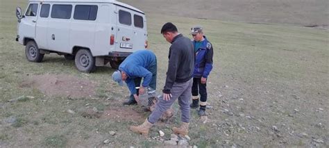 Шогч МН 🔴 ТАРВАГА СЭРГЭЭН НУТАГШУУЛАХ АЖЛЫГ ХӨВСГӨЛ