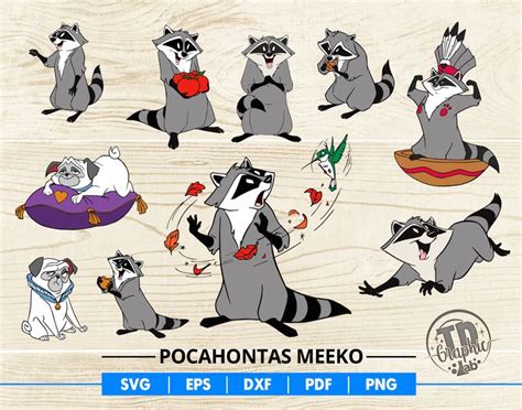 Pocahontas Meeko Svg Bundle Meeko And Percy Disney Animals Raccoon