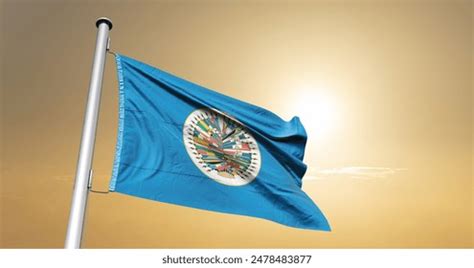 6234 Organization American States Flags Royalty Free Images Stock