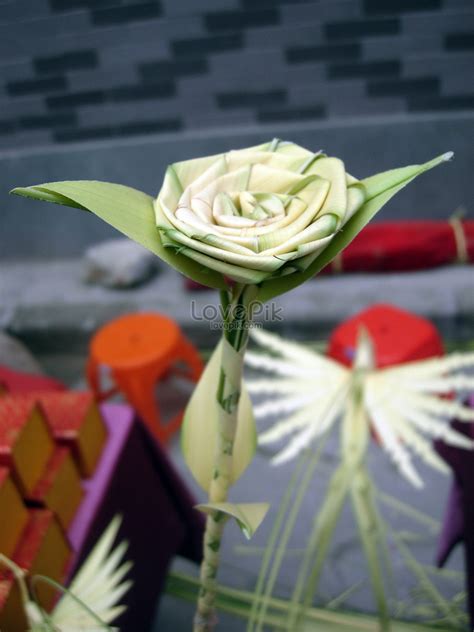 니트 장미 사진 무료 다운로드 Lovepik