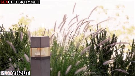 This New Lover Of Amy Adams Is Better At Sex Than Anyone Else SexCelebrity