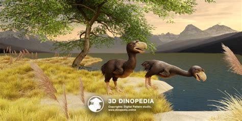 Phorusrhacos 3d Dinopedia