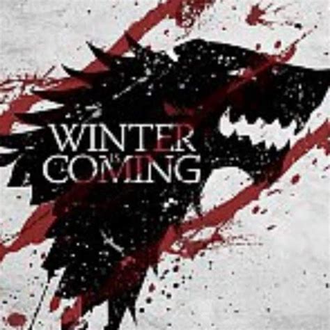 Tyler Patten Youtube