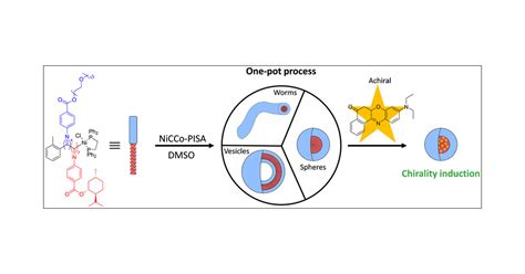 Nickel Catalyzed Coordination Polymerization Induced Self Assembly Of Helical Polyaryl
