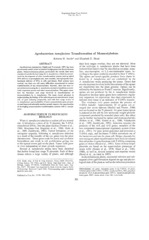 Pdf Agrobacterium Tumefaciens Transformation Of Monocotyledons
