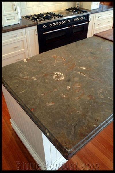 Fossil Countertops Kitchen Things In The Kitchen
