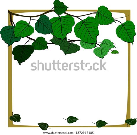 Peepal Plant Over 29 Royalty Free Licensable Stock Vectors And Vector Art Shutterstock