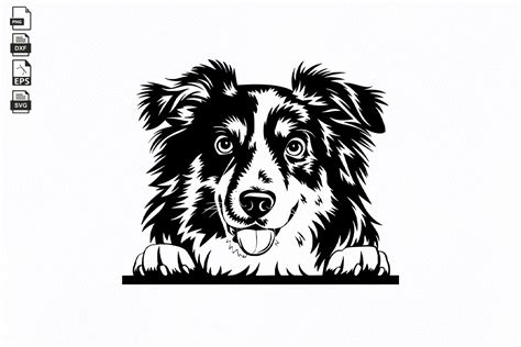 Australian Shepherd Mini Aussie Face Graphic By Blackcatszone · Creative Fabrica