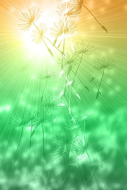 90 Static Background Pictures Illustrations Royalty Free Vector