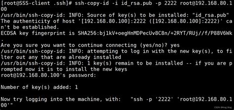 红帽8安装openssh服务超详细解析 yum安装ssh csdn博客