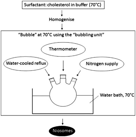 Schematic Diagram Of Preparation Of Niosomes Using The Bubble Method Download Scientific Diagram