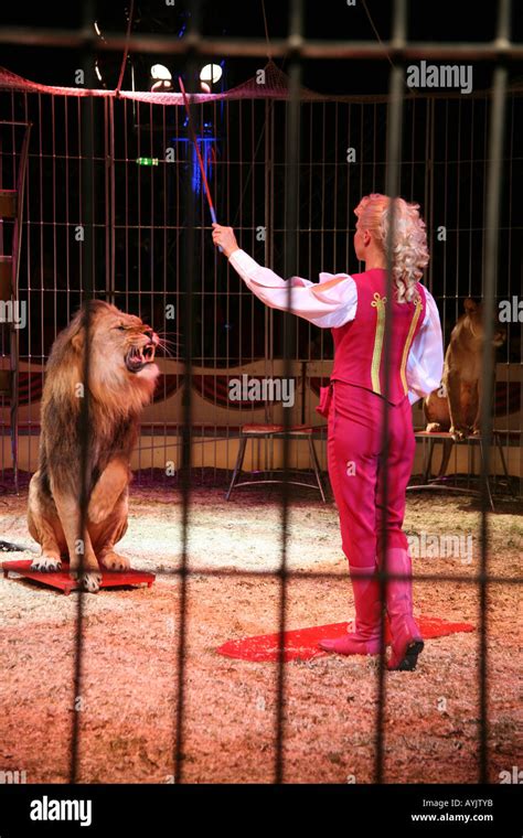 Carnival Cut Out Lion Tamer