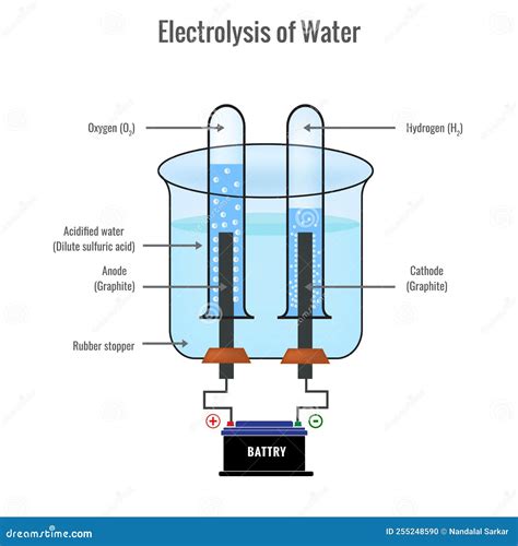 Electrolysis Of Water Forming Hydrogen And Oxygen Vector Illustration